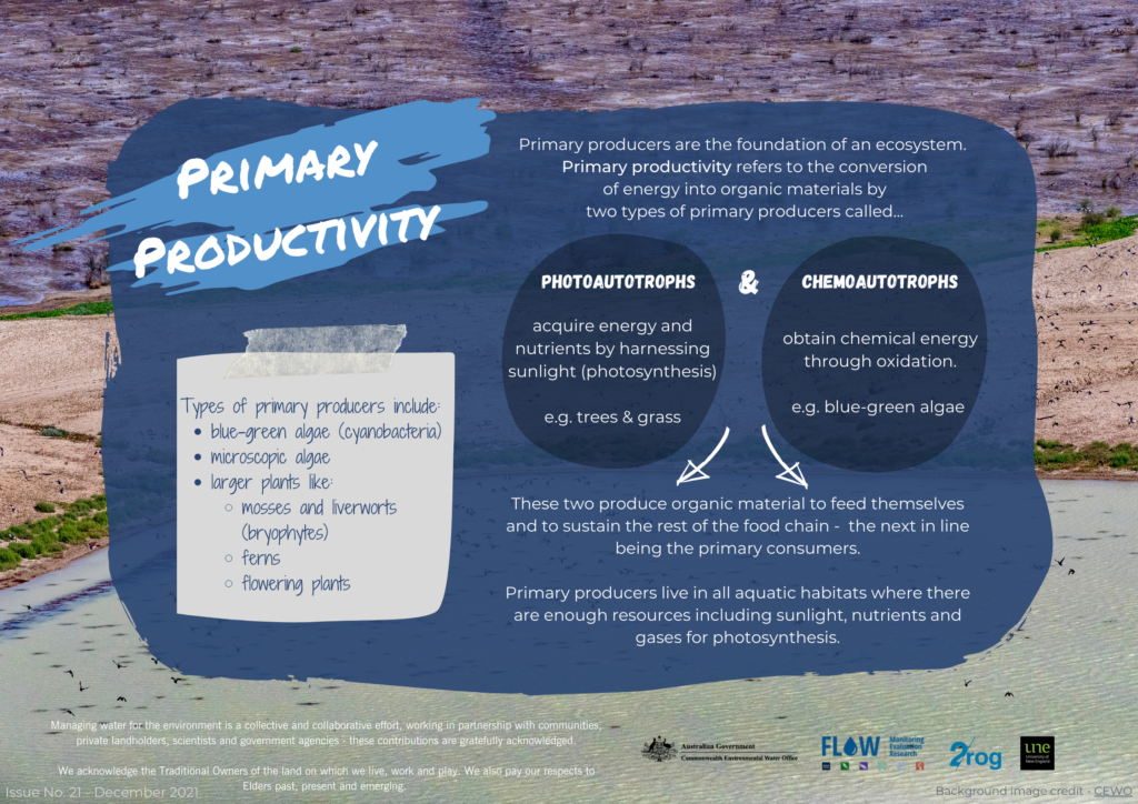Issue 20 Primary Productivity: What is it? – 2rog